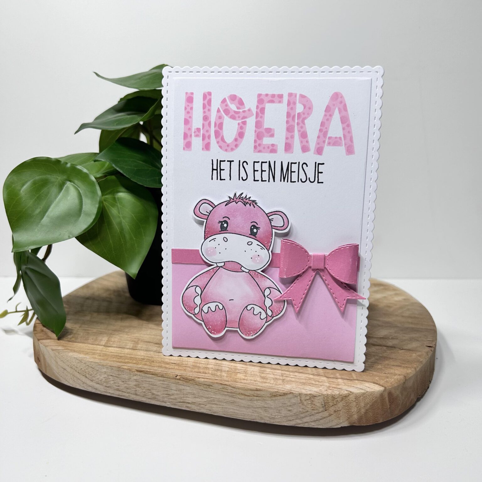Hoera zwanger - Noor & Zo Hobby webshop