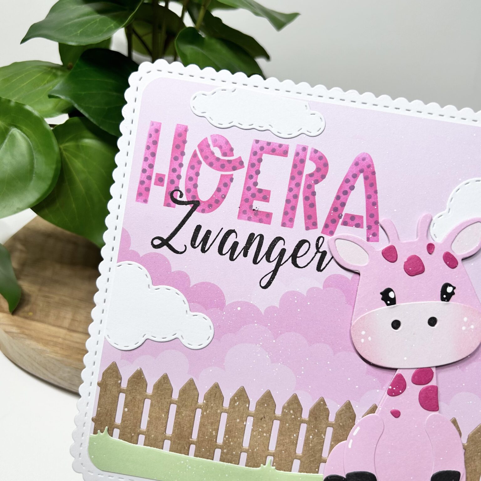 Hoera zwanger - Noor & Zo Hobby webshop